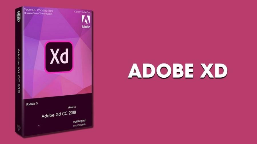 7 Reasons You Should Choose Adobe XD to Learn UI Design